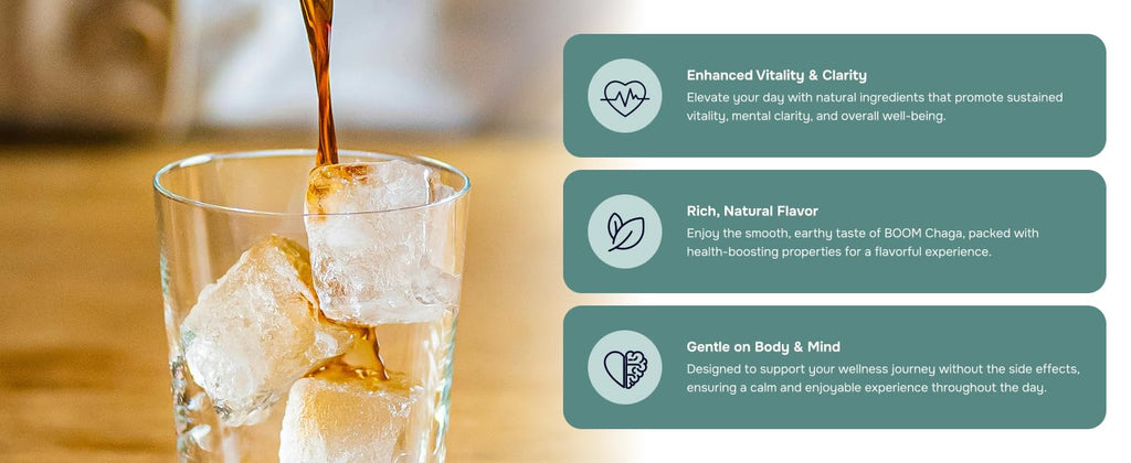 convenient chaga extract packets