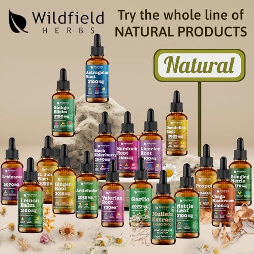 convenient chaga mushroom health drops