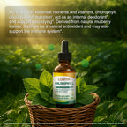 convenient chlorophyll drops for wellness