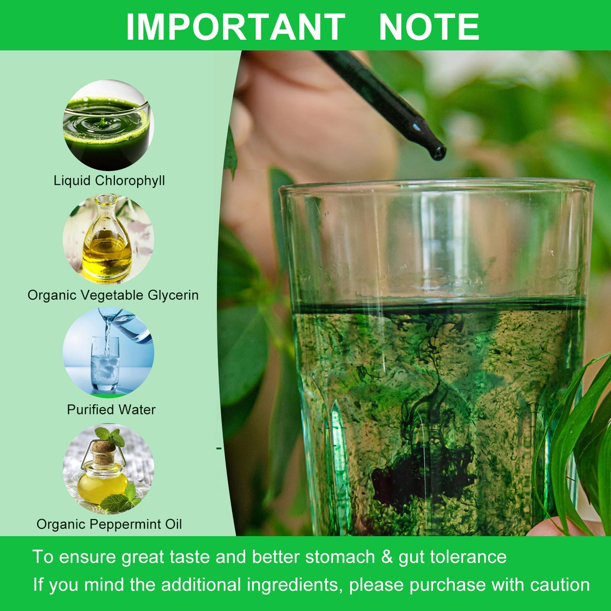 convenient chlorophyll liquid for vitality