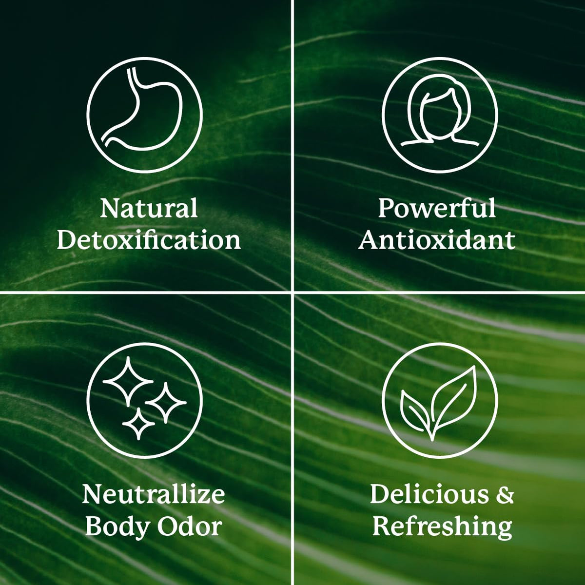 convenient chlorophyll on-the-go packs