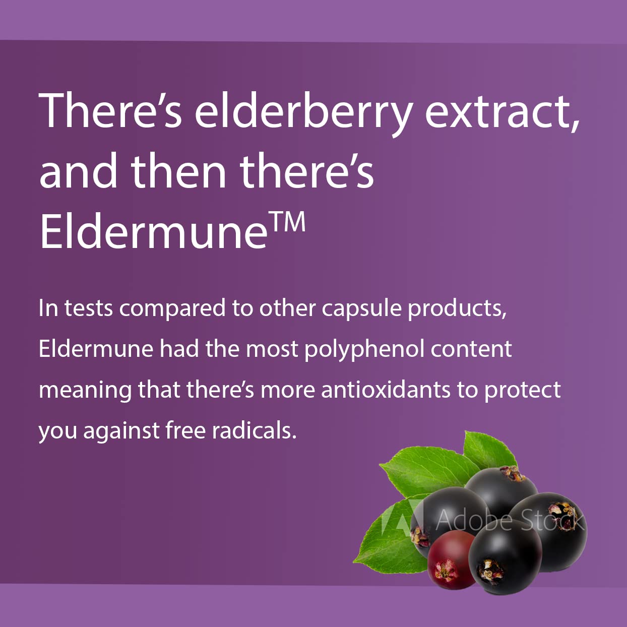 Convenient elderberry capsules for on-the-go