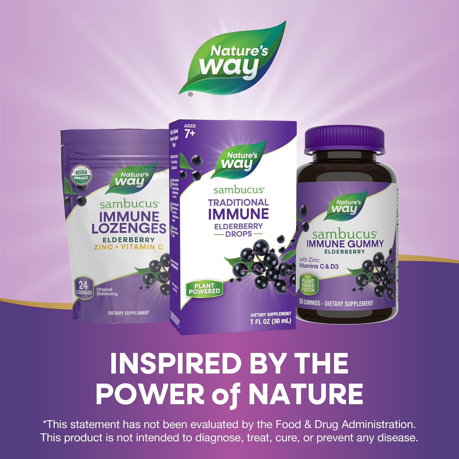 convenient elderberry drops for daily use