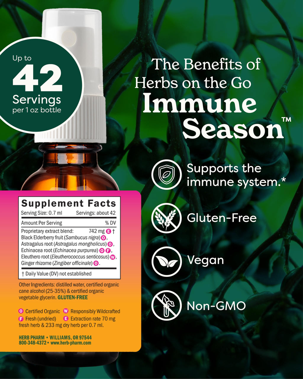 Convenient elderberry extract on-the-go
