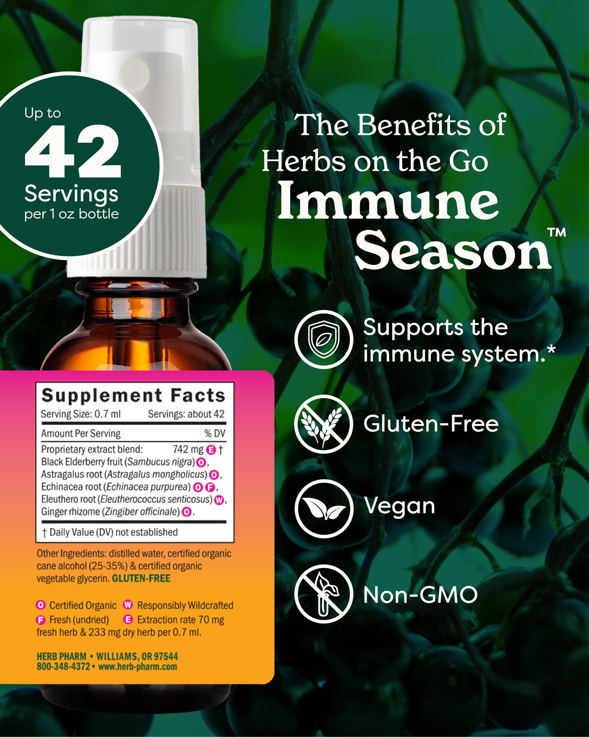 Convenient elderberry extract on-the-go