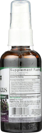 convenient elderberry spray for travel