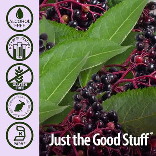 convenient elderberry spray for travel