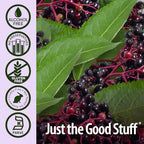 convenient elderberry spray for travel