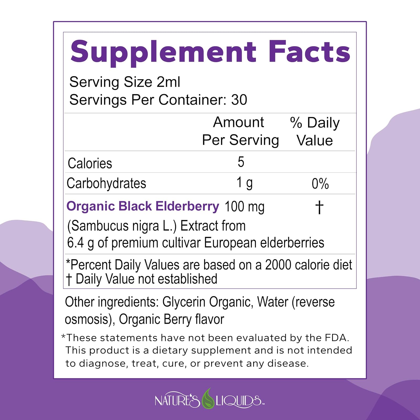 convenient elderberry syrup for daily use