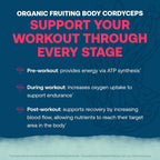 convenient electrolyte powder on-the-go