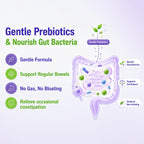 convenient fiber powder for gut health