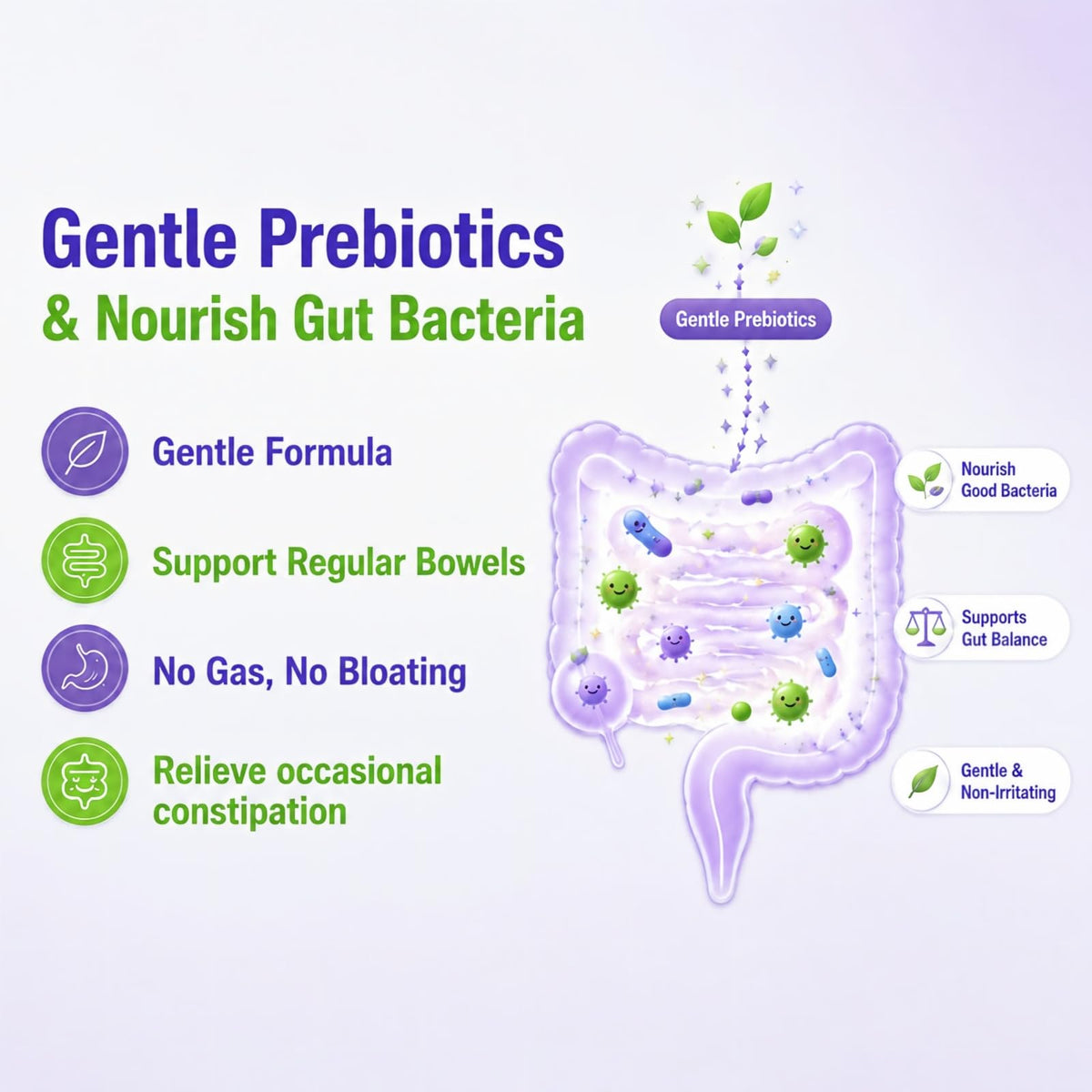 convenient fiber powder for gut health