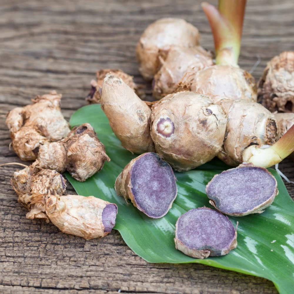 convenient ginger tablets for wellness