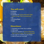 convenient ginger tea for on-the-go