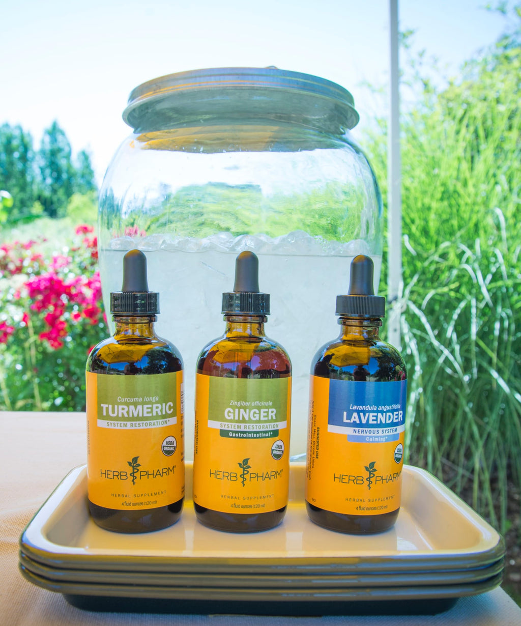 convenient ginger tincture for travel