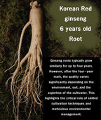 Convenient ginseng sticks for travel