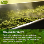 convenient green tea bag packaging
