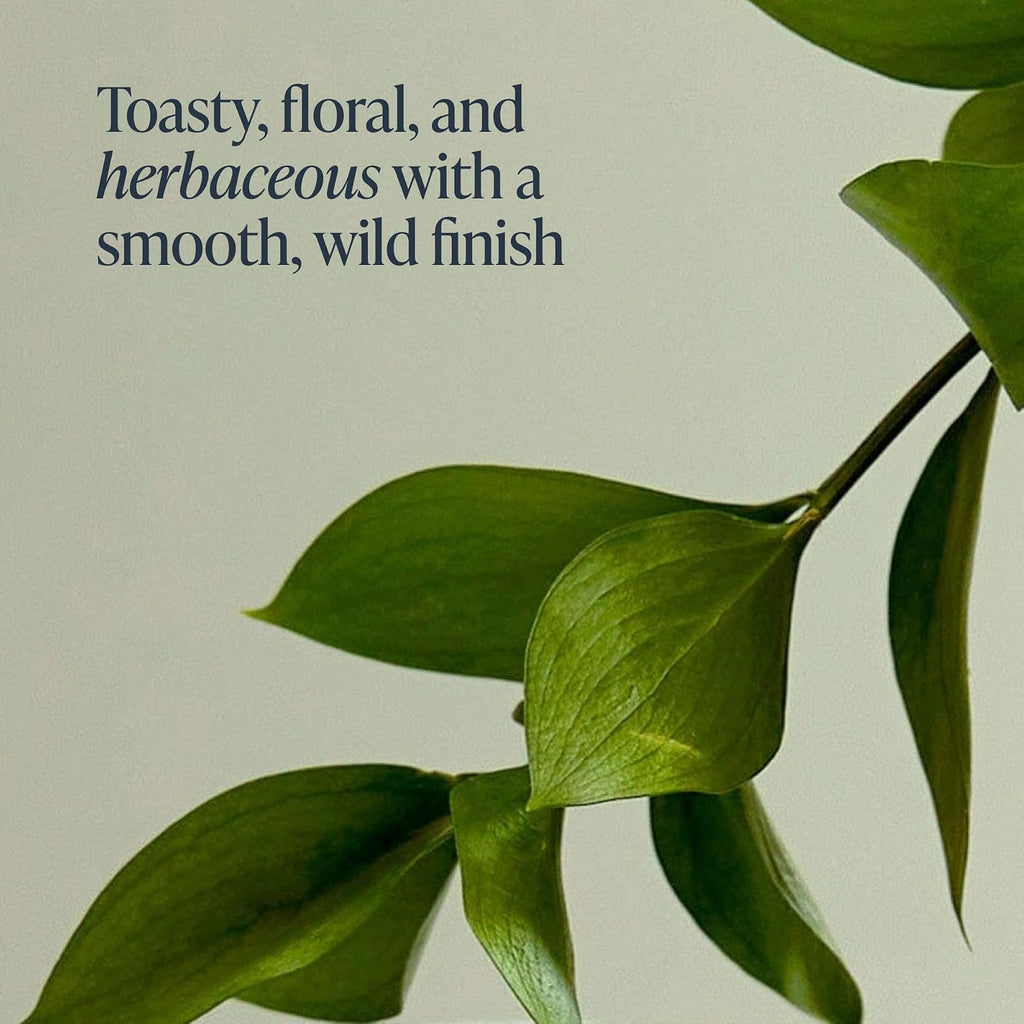 convenient green tea sachets