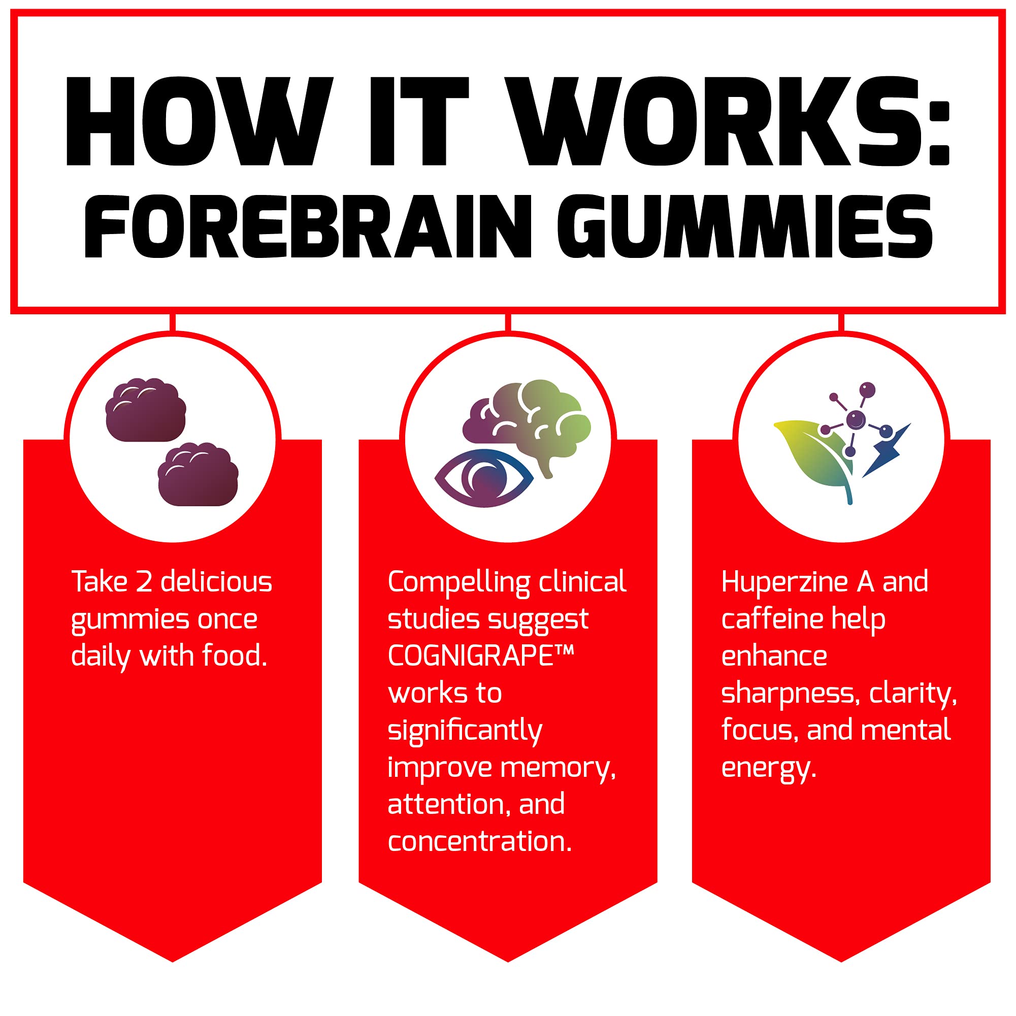 Convenient gummies for cognitive performance