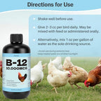Convenient liquid B12 for busy lifestyles