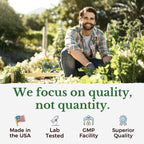 convenient moringa capsules for on-the-go