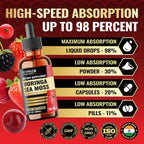 Convenient Moringa drops for wellness