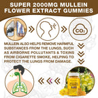 Convenient Mullein gummies for daily wellness