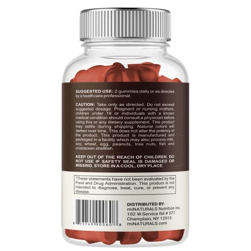 convenient mushroom supplement for busy lifestyles
