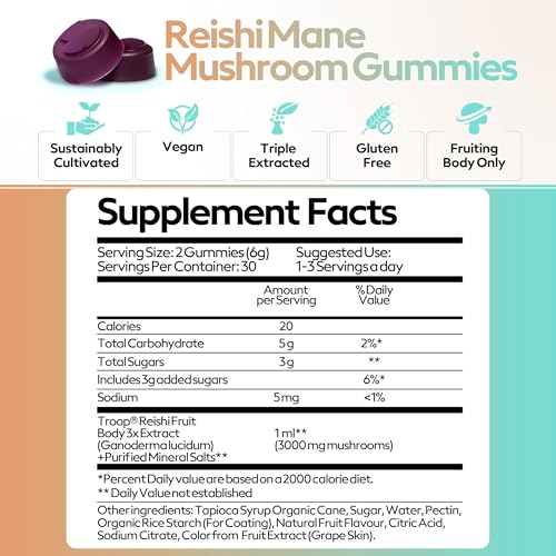 Convenient mushroom supplements for busy lifestyles