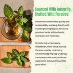 convenient peppermint tea bags for travel