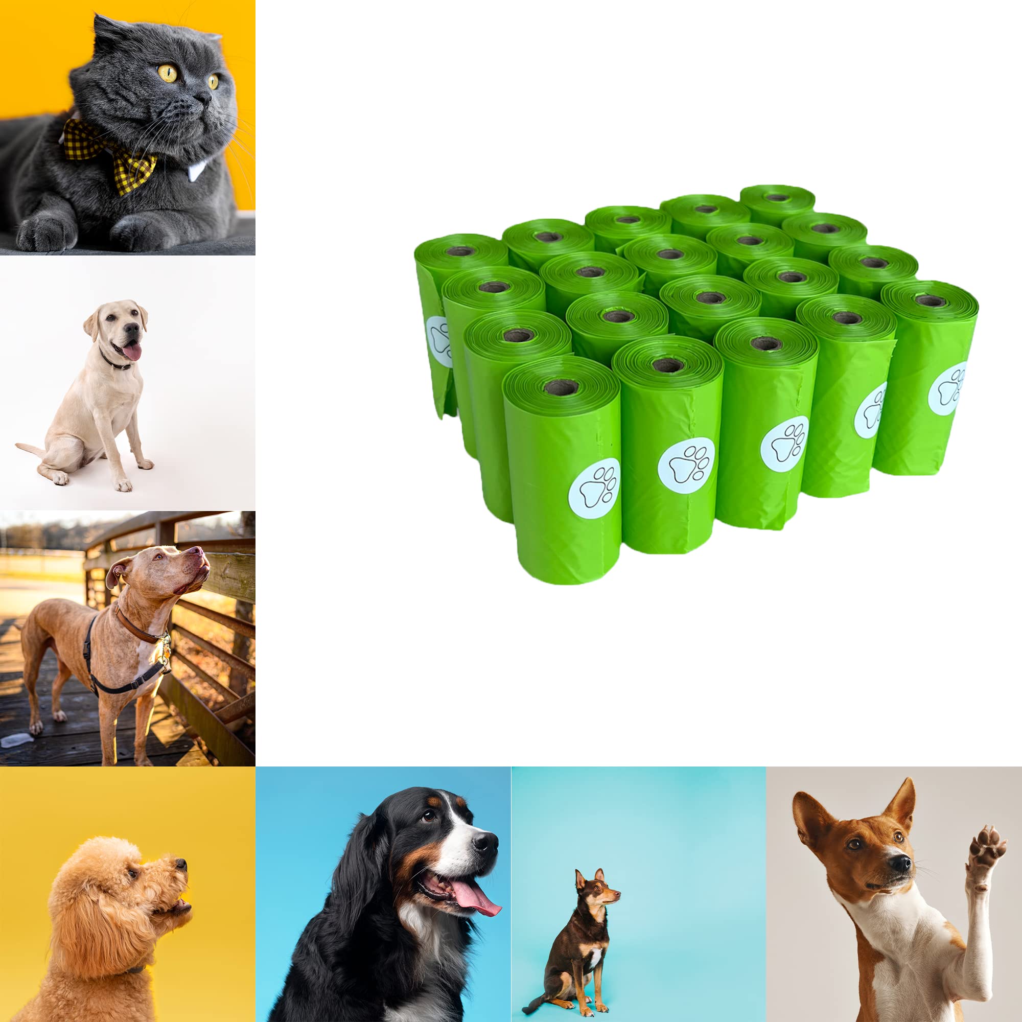 convenient pet waste bags for walks