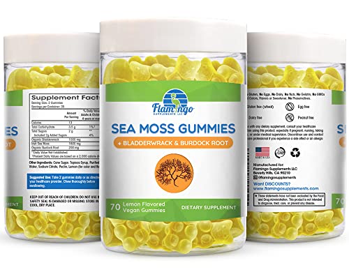 Convenient sea moss gummies for travel