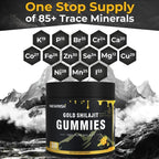 Convenient Shilajit gummy vitamins