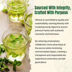 convenient spearmint tea bags for quick brewing