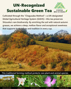 convenient tea bags for busy lifestyles