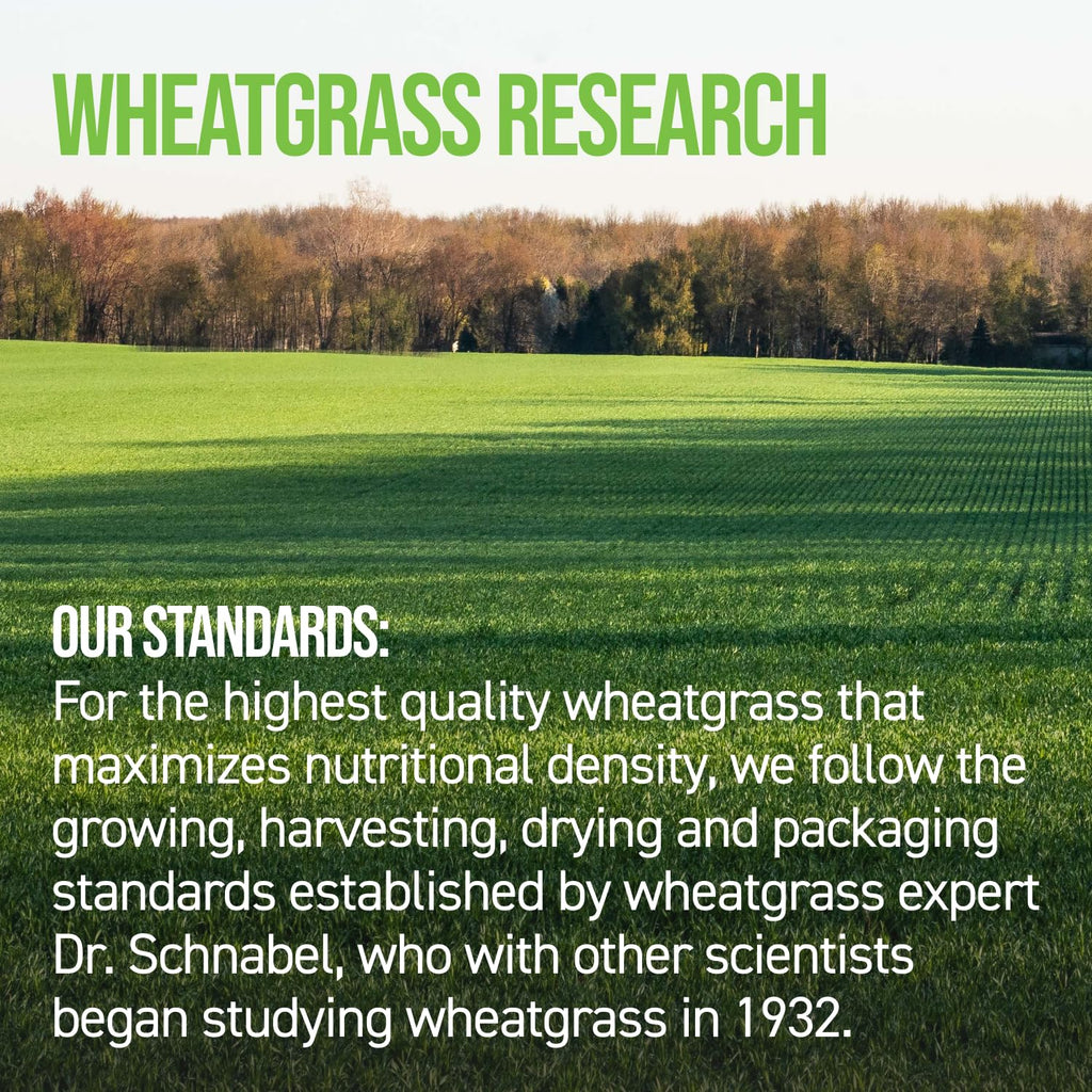 convenient wheatgrass for busy lifestyles