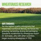 convenient wheatgrass for busy lifestyles