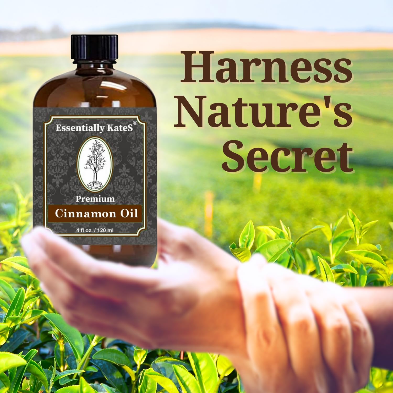 cooking with ceylon cinnamon oil