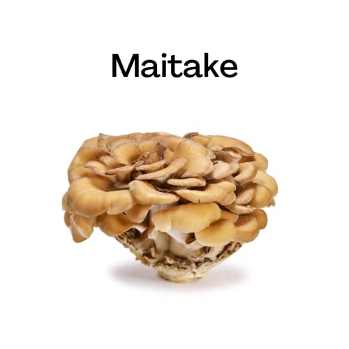 cooking with nutrient-packed mushrooms