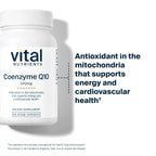 coq10 100 mg for overall wellness