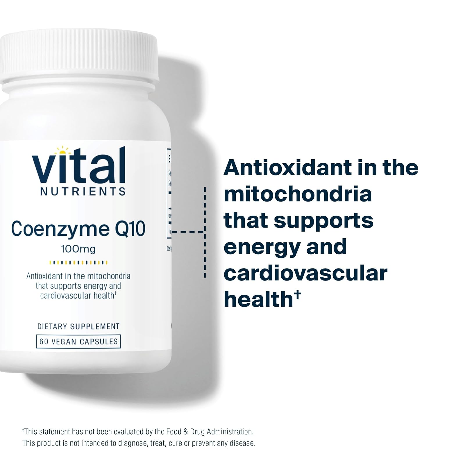 coq10 100 mg for overall wellness