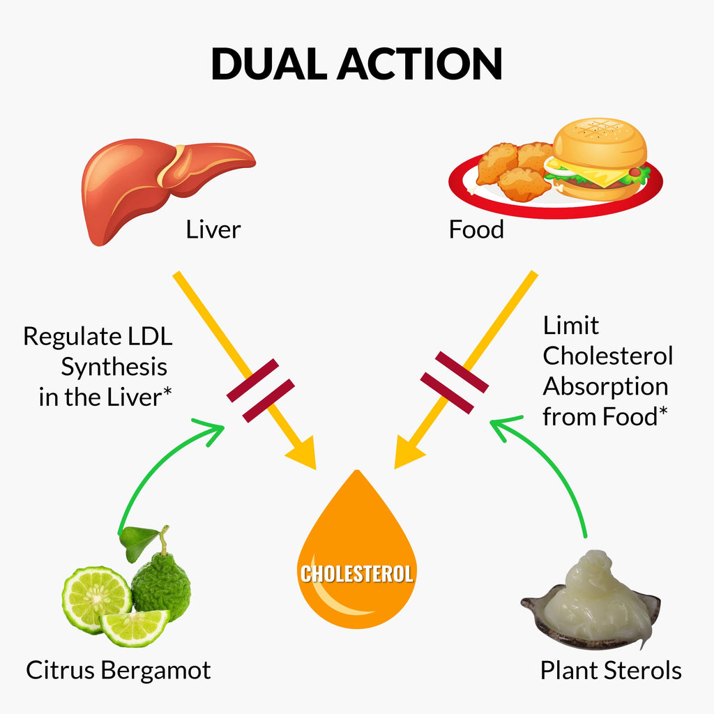 CoQ10 and omega 3 synergy