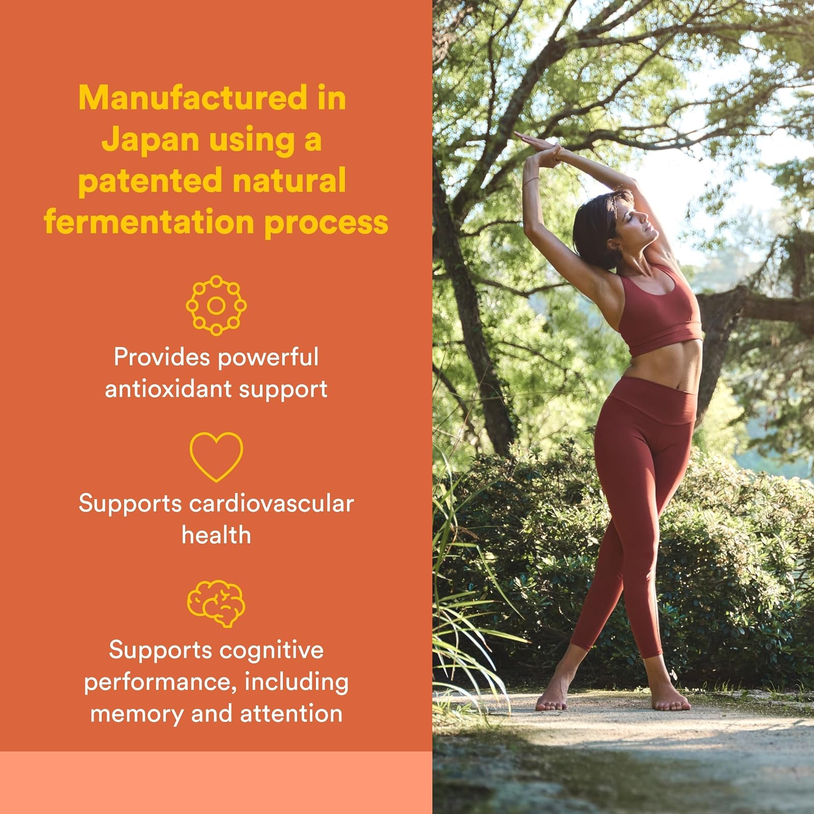 CoQ10 and PQQ energy support