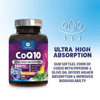 coq10 antioxidant support for aging