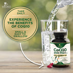 coq10 antioxidant support for vitality