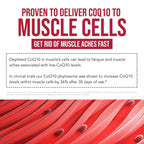 CoQ10 capsules for cellular energy
