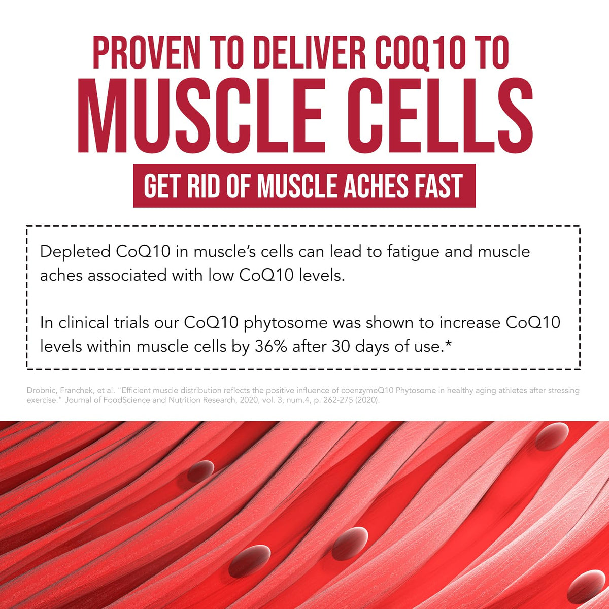 CoQ10 capsules for cellular energy