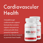 CoQ10 enhanced red yeast rice