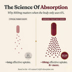 coq10 for cellular energy production