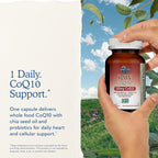 CoQ10 for cellular energy